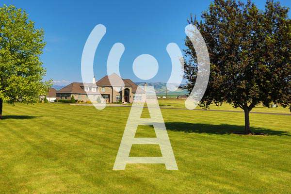Signal Boosters for Remote Workers in NZ: Stay Connected 24/7